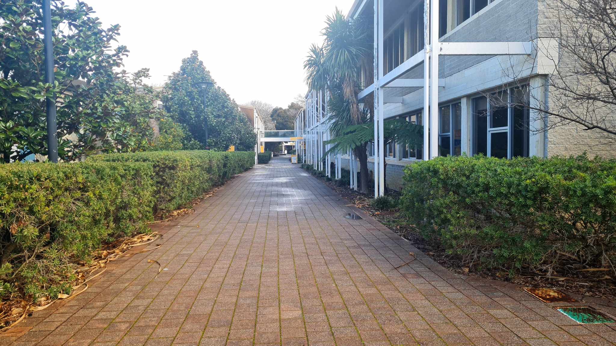 AU | International Program Division - Gallery